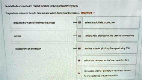 Match The Hormone To Its Correct Function In The Reproductive System 1 Releasing Hormone From
