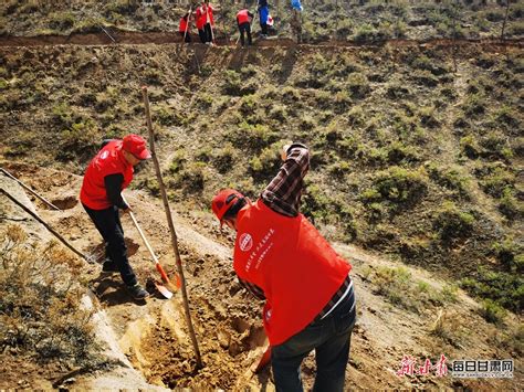 不负春光 为绿充“植” 2024甘肃植树公益行活动在皋兰县举行