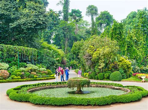Best Things To Do In Kandy Attractions In Kandy Places To Visit In