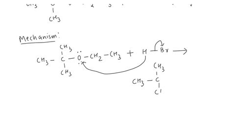 Solved Ch3ch3 1 Hg Oac 2 Thf H2o 2 Nabh4 Naoh Oh Ch3 Ch3 H Ch3