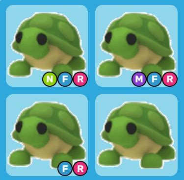 Roblox Adopt Me Turtle NFR MFR Normal FR Video Gaming Gaming Accessories In Game