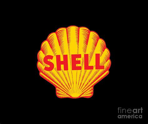 Shell Digital Art By Aziza Diana Fine Art America