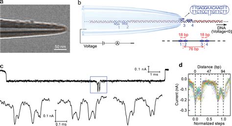Detection Of Dna Nanostructures Separated By A Few Nanometer Distances