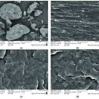 Tensile Modulus Of PP Composites Compared To Neat PP Darker Bars Are Download Scientific