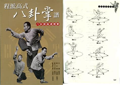 Baguazhang Baguazhang Martial Arts Kata And Forms Chinese Martial Arts Martial Arts Kung Fu