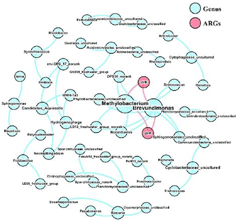 Network analysis revealing the co-occurrence patterns among ARG ...