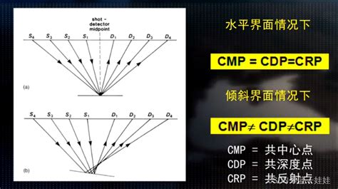 Cdp Crp Csdn