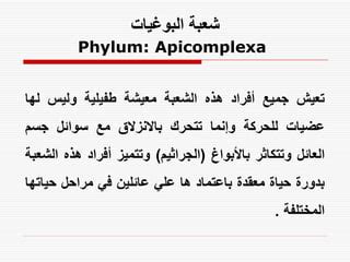البوغيات PDF