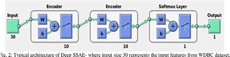 Figure 1 From Deep Stacked Sparse Autoencoders A Breast Cancer