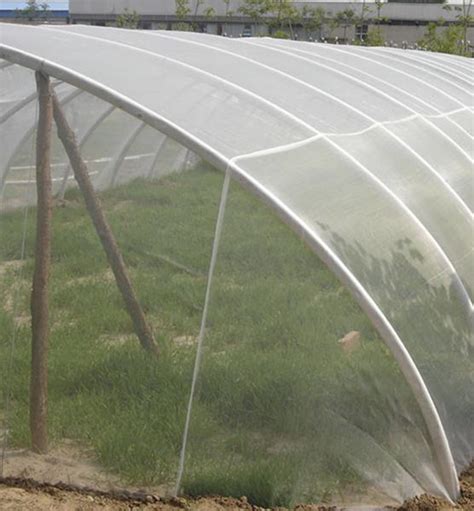 Thrips Insect Netting Smart Net Systems Industrial Netting Systems