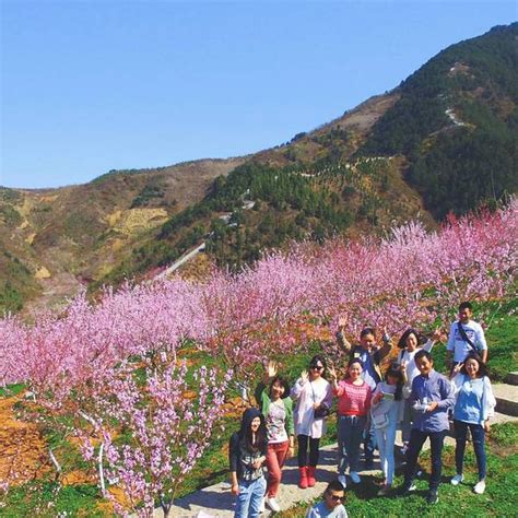 2025丹凤桃花谷门票 商洛丹凤桃花谷游玩攻略 丹凤桃花谷游览攻略路线 地址 门票价格 去哪儿攻略