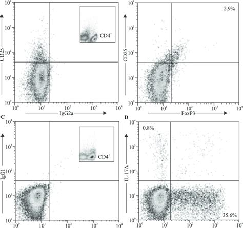 Flow Cytometry Dot Plots Showing The Gating Strategy Used In Download Scientific Diagram