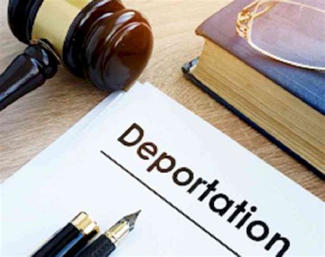 Punjab Man Guilty Of Fatal Car Crash In Canada Deported To India