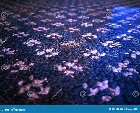 Purple Aesthetic Abstract Background With Some Particle In It Stock