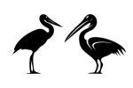 Is A Crane A Stork Or Heron Birdful