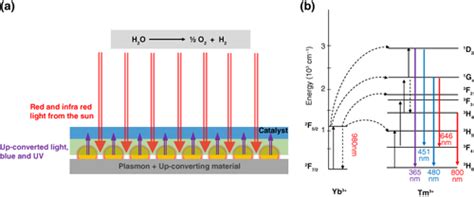 Advances In Plasmon‐enhanced Upconversion Luminescence Phenomena And Their Possible Effect On