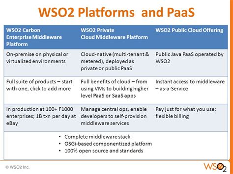 Introducing The WSO2 Platform Leading You To A Connected Business Ppt