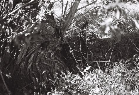 Devroll 3 29 Benjamin Lewis Flickr