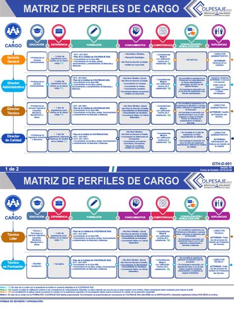 Matriz De Perfiles Pdf Ingeniería Conocimiento