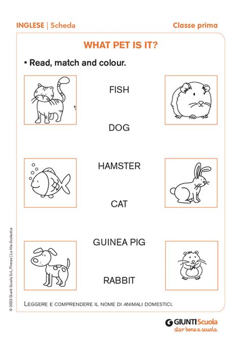 What Pet Is It Giunti Scuola