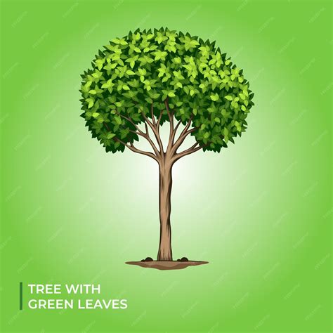 Premium Vector Tree With Green Leaves Vector
