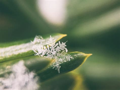 Customizing Lstms With New Features Towards Data Science