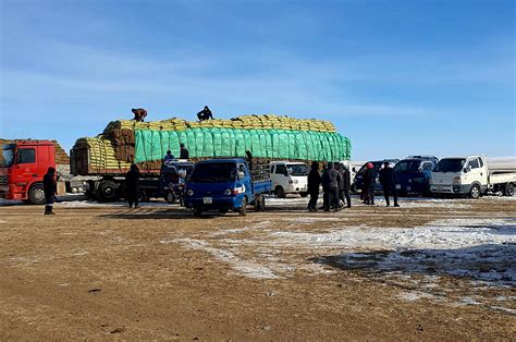 СЭРГЭЛЭН Дорнод аймгийн Засаг даргын Тамгын газар