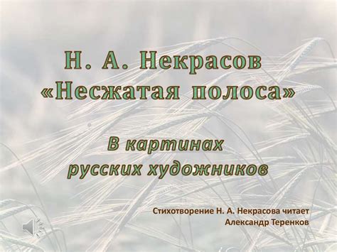 Стихотворение Н А Некрасова Несжатая полоса Online Presentation