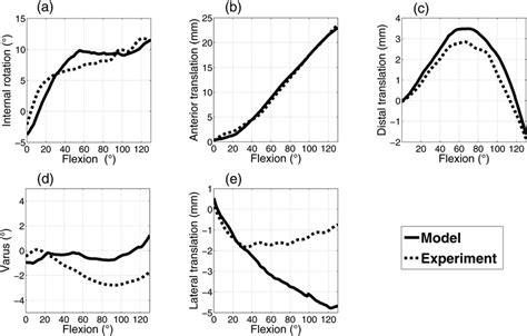 Tibial Kinematics With Respect To The Femur Predicted By The Model Download Scientific Diagram