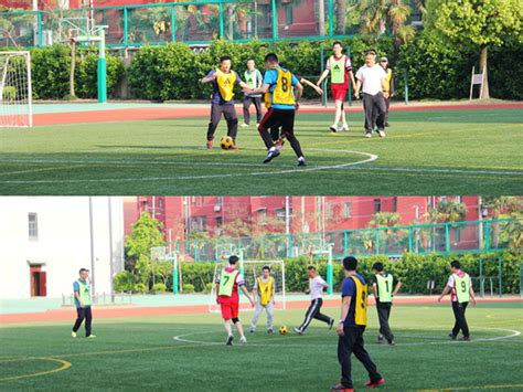 校际联动对青年教师教学水平的提高、教学经验的提高有着重要意义，同时也是 田林地区各所中学体育教育事业纵深发展的有效动力。