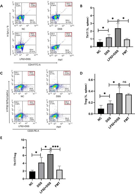 Percentage Of Th17 And Treg Cells In Mouse Spleen And The Ratio Of Th17