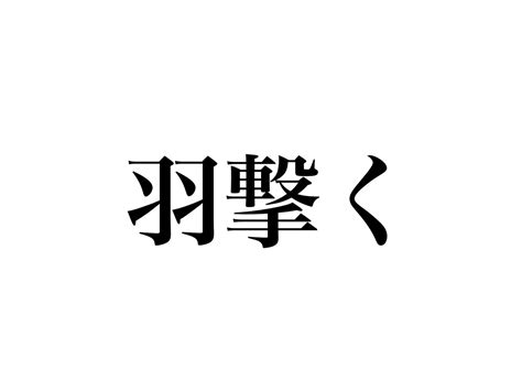 スッと読めたらかっこいいかも。「羽撃く」って、なんて読む？ Cancamjp（キャンキャン）