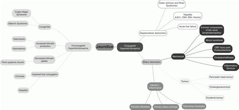 Examination Of Peripheral Stigmata Of Disease In General Surgery