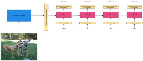 Github Nicolafanimage Captioning Cnn Rnn Tensorflowkeras