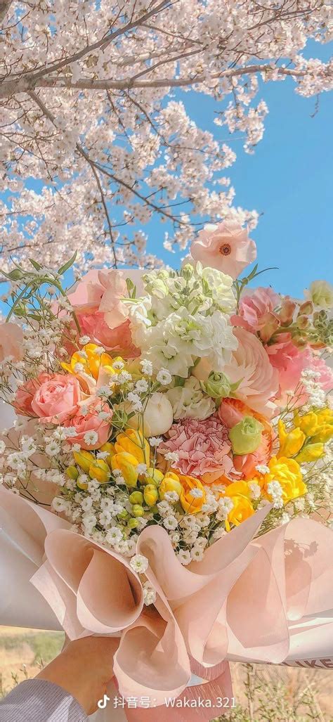 Platycodon Grandiflorus