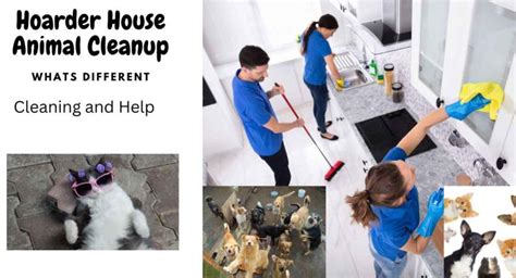 Cat And Other Animal Fiasco Cleaning An Animal Hoarder House Kds