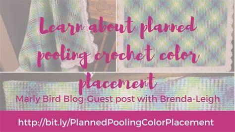 Planned Pooling Crochet Planned Pooling Color Placement Marly Bird