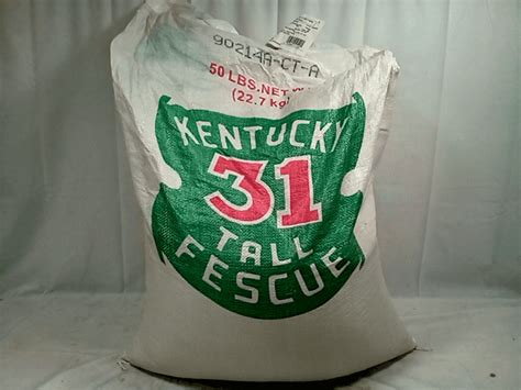 Barenbrug 491145 50 Lbs Kentucky 31 Tall Fescue Grass Seed Dutch Goat