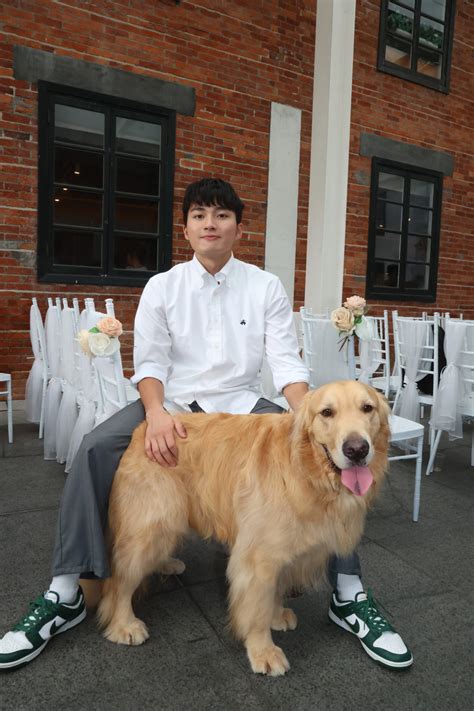 阿七吴嘉仪结婚丨47岁陈炜30岁苏韵姿斗露香肩贺新人 庄思明预告明年嫁杨明 星岛日报