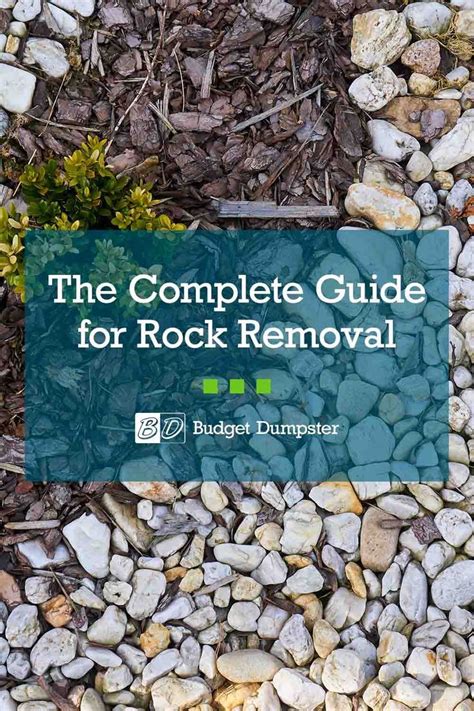 How To Get Rid Of Rocks In Your Yard Artofit