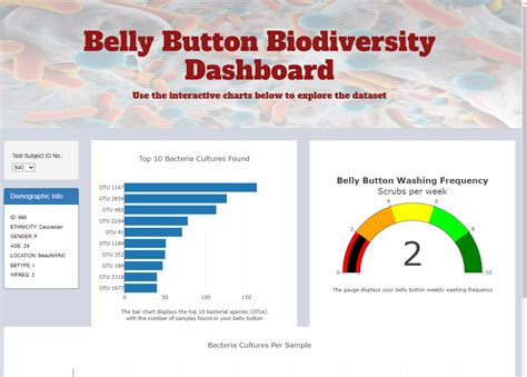 GitHub Nedflowers Belly Button Biodiversity