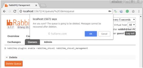 Rabbitmq Clear Queues How To Delete Queues And Purge Messages 101 Hevo