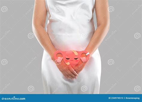 Illustration De L utérus Est Sur Le Corps Des Femmes Image stock