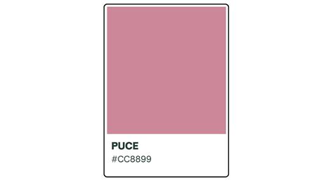 What Makes The Puce Color So Elegant And Captivating Hipfonts