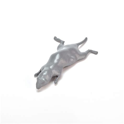 Mouse Phantom - MediScientific