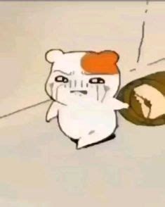 83개의 밈짤 모음 아이디어 2024 웃긴 밈 웃긴 밈