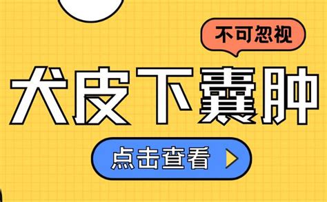 狗狗颈背部起包，你可一定要重视啦！可能是皮下囊肿！ 知乎