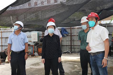 保亭县委副书记、县长王惠仙调研重点项目建设疫情防控及安全生产工作 新闻频道 和讯网