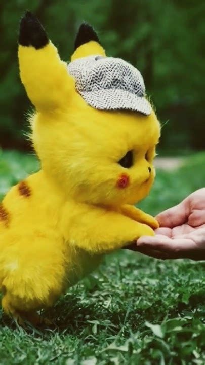 Pikachoo Pokemon Youtube