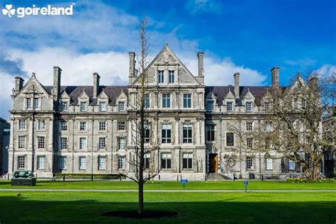Masters In Business Analytics In Ireland Msc Business Analytics In